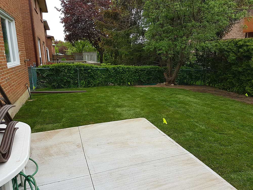 Wolf Landscaping | Gallery