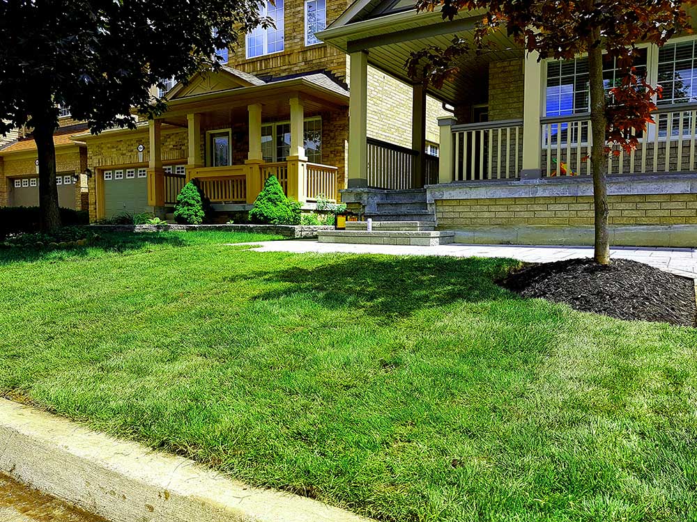 Wolf Landscaping | Gallery